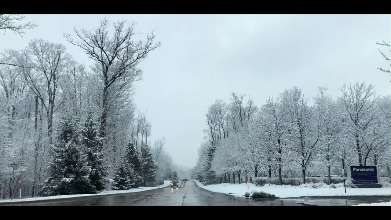 Mesmerizing view after snowfall in Michigan | snow loaded trees | # ...