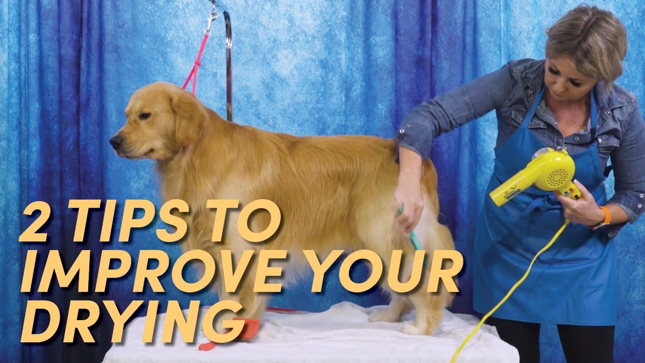 2 FREE WAYS to Improve Your Drying - YouTube