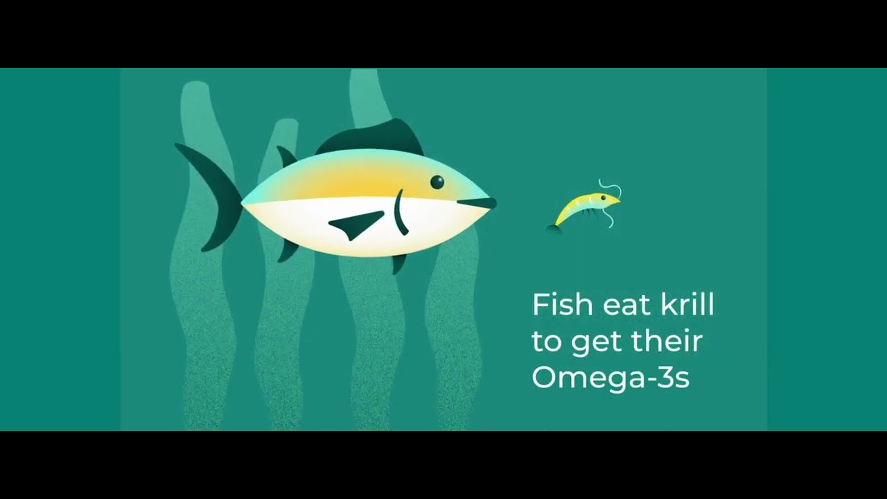 Iwi Life Skip the Middle Fish for Vegan Omega-3s - YouTube