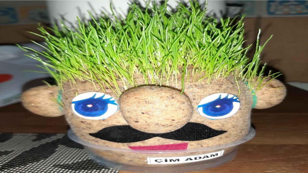 GRASS MAN | CIM ADAM (TURKEY) - YouTube