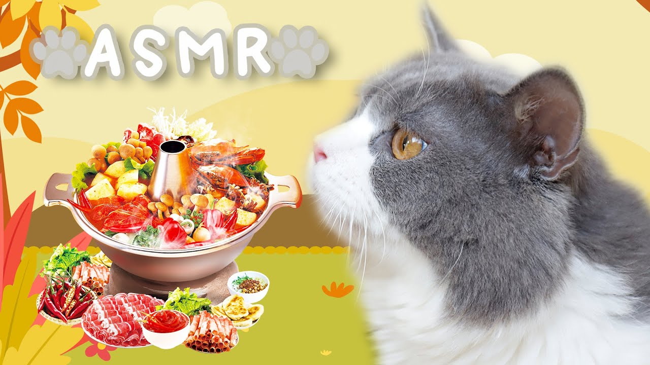 Satisfying cat eating, Big cat eating show collection 2! Enjoy the ...