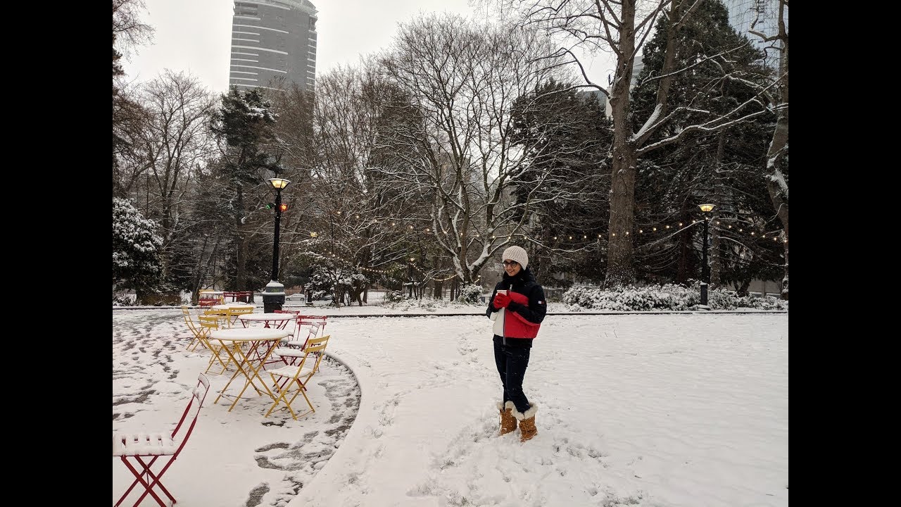 Seattle Snowfall Feb 2019 | Beautiful | Snow day | Washington - YouTube