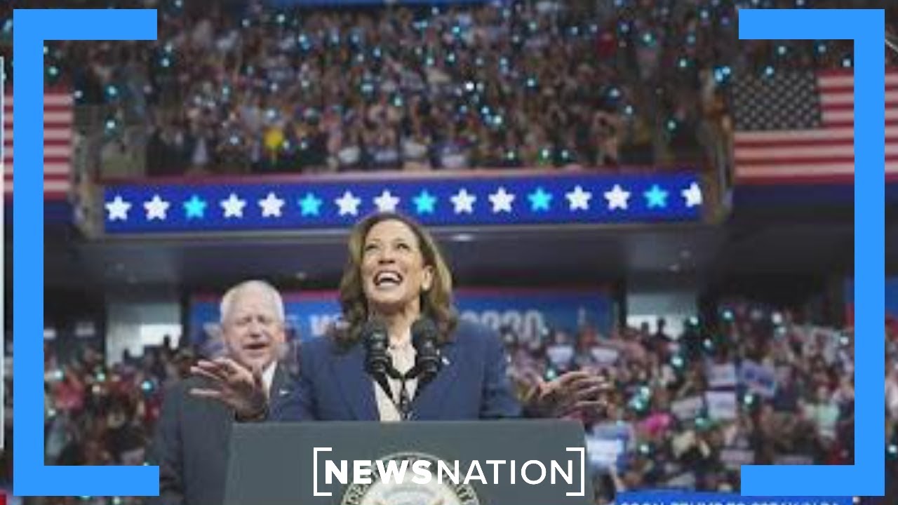 Harris’ surge is no victory guarantee: Former Republican lawmaker ...