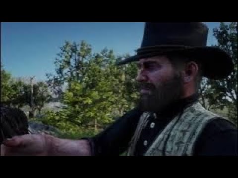 Story Mission Walkthrough - Epilogue: Part 1: Pronghorn Ranch - YouTube