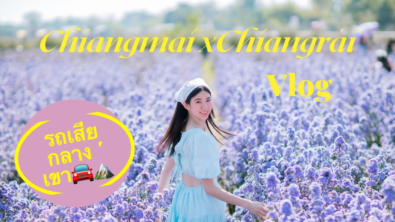 Chiangmai x Chiangrai VLOG เที่ยวชิวๆชิวไปชิวมารถเสียกลางเขา😭 ...