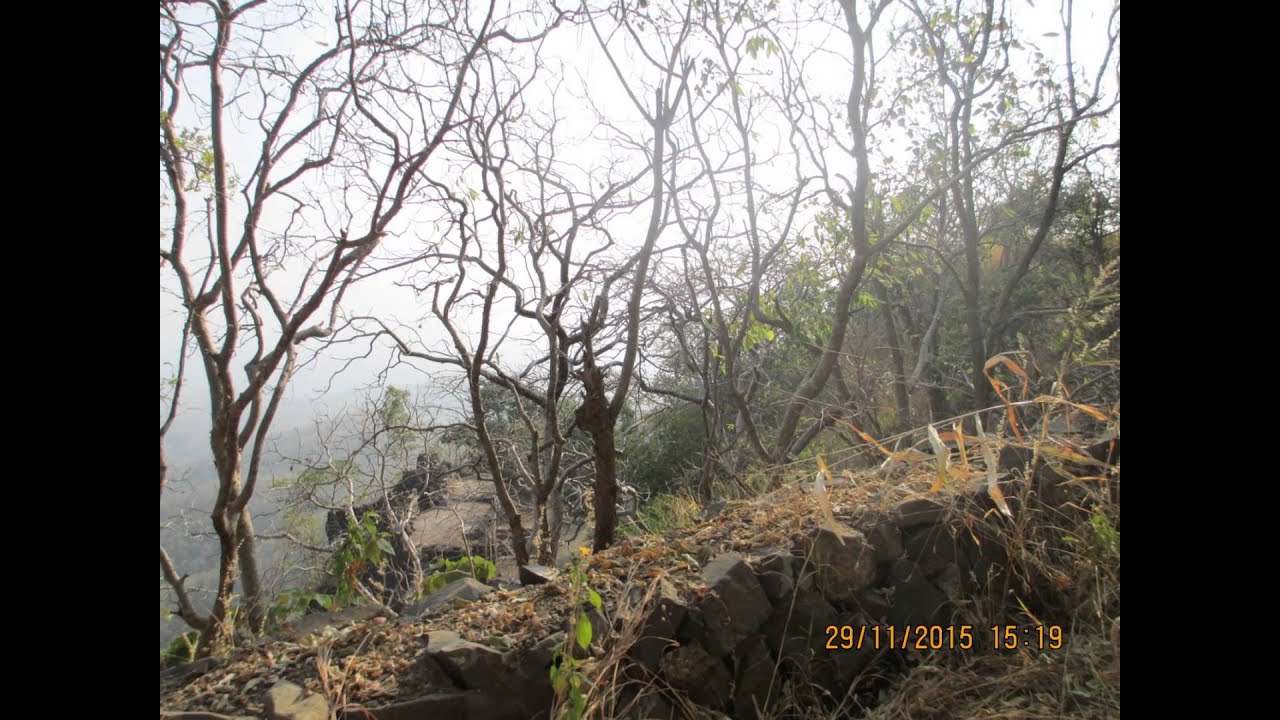 Narnala Fort,Exhibition & Reserve Forest, Akot, Maharashtra, India ...
