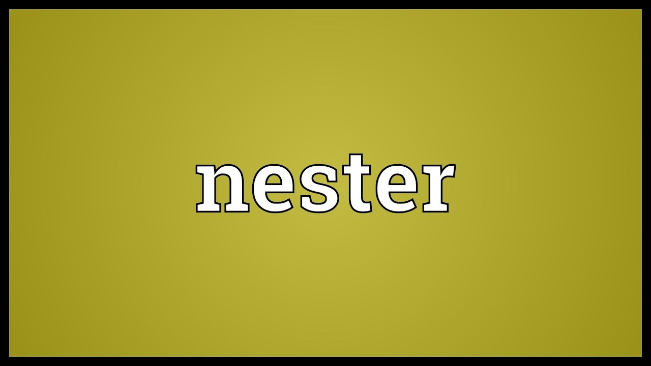 Nester Meaning YouTube nester-meaning-youtube
