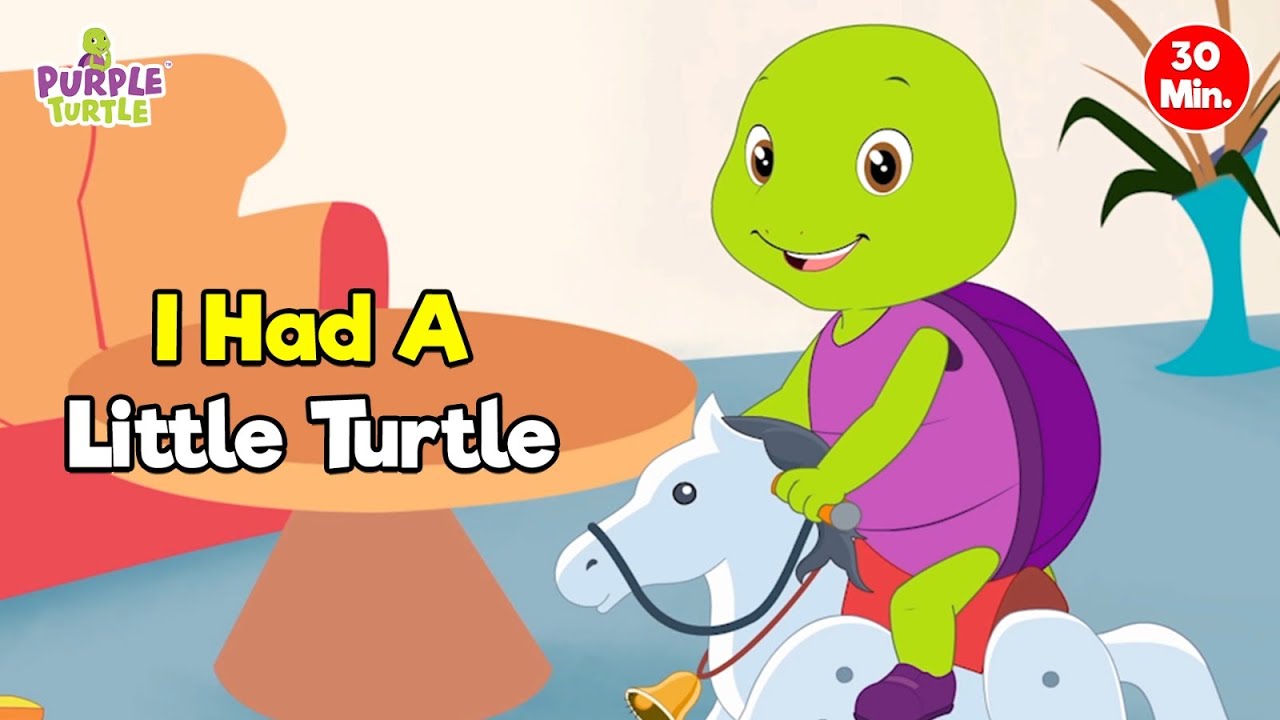 I Had A Little Turtle | PurpleTurtle Nursery Rhymes & Kids Songs - YouTube