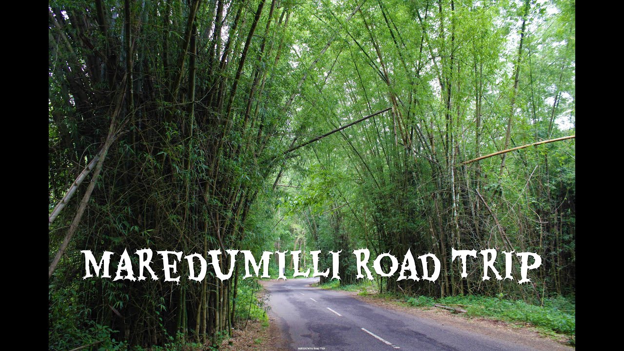 Maredumilli Road Trip || Maredumilli Forest || Maredumilli tour plan ...