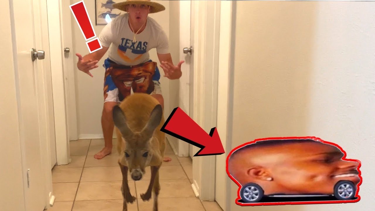 Unboxing Fanmail with A Kangaroo (formerly known as Dababy) - YouTube
