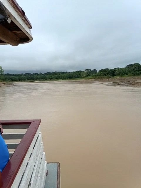 viagem no Rio Purus Amazonas - YouTube