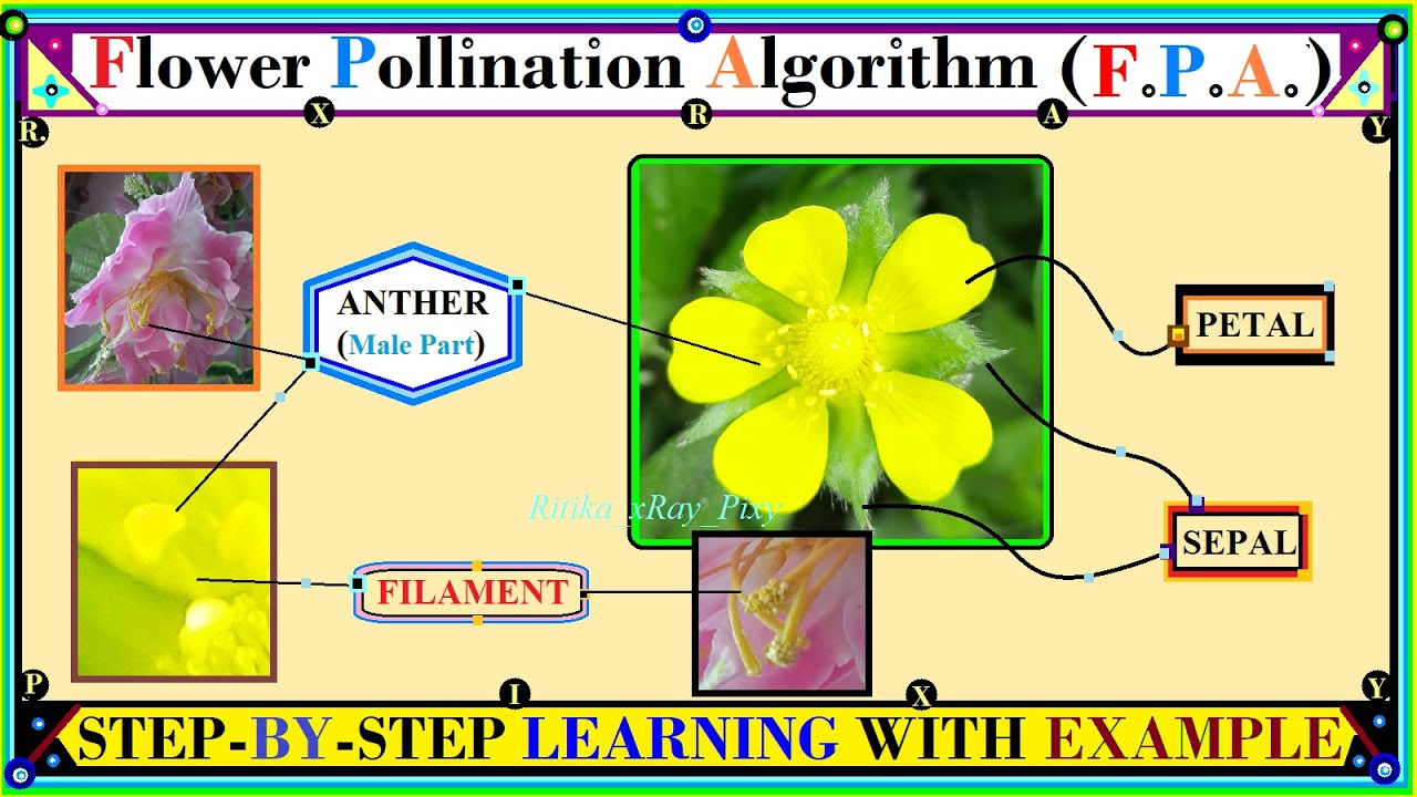 Flower Pollination Algorithm Ritikaxraypixy Metaheuristic Optimization Youtube
