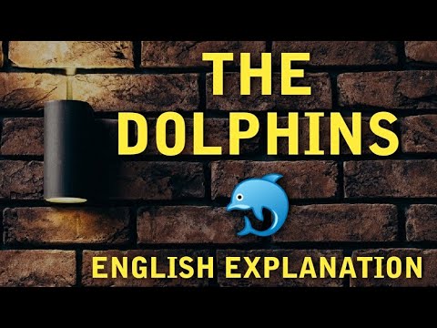ISC English | Poem | The Dolphins | ENGLISH Explanation | Carol Ann ...