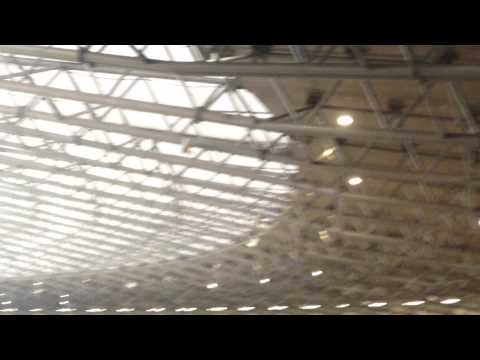 #BraGer German Fans celebrating first goal Thomas Müller - Germany vs Brasil 7:1 WorldCup 2014