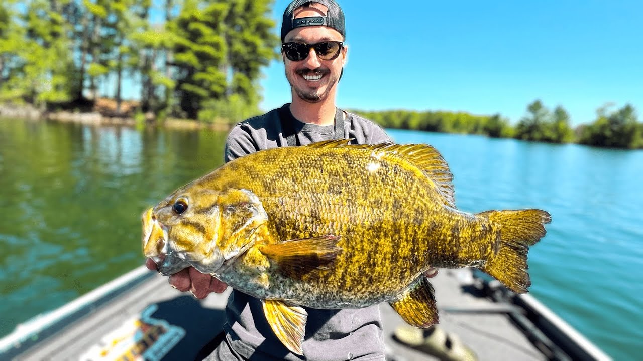 SIGHT Fishing MEGA Smallmouth BASS! My BIGGEST of 2024! (24.4lb Bag ...