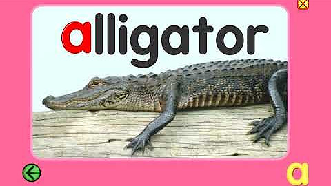 Starfall - Alphabet - letters A to Z - Best learning for kids ...