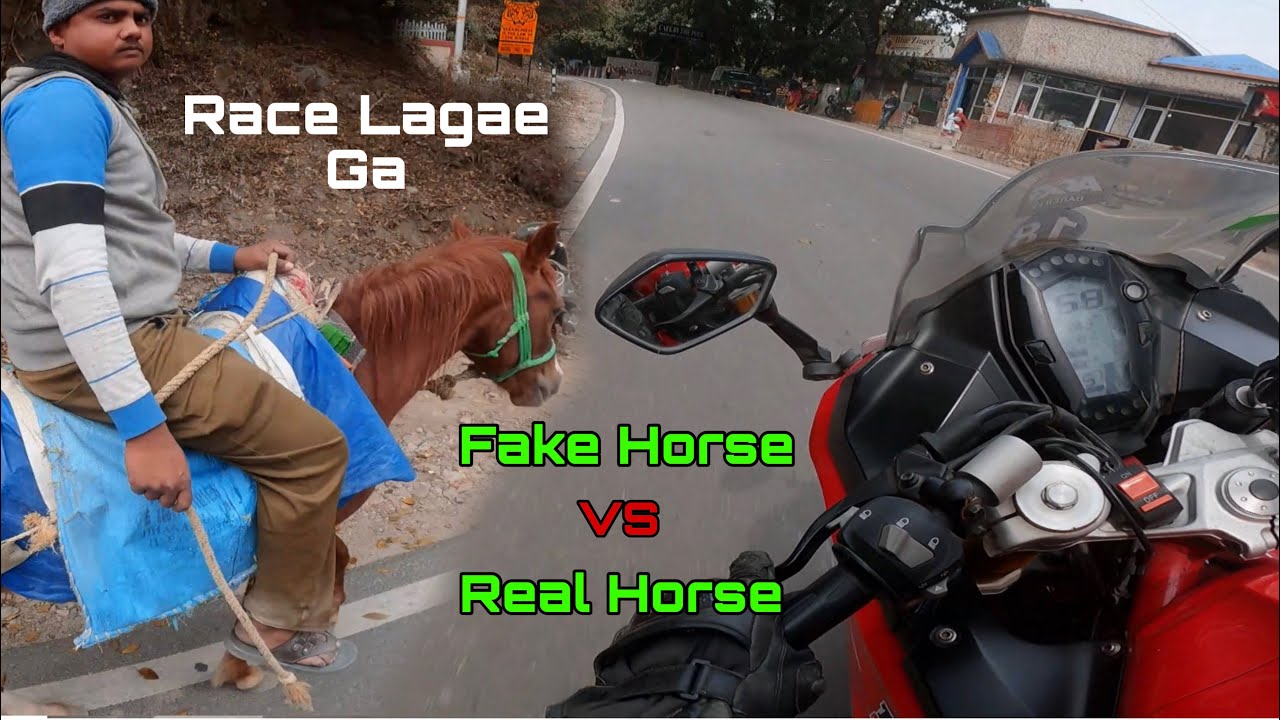 Fake Horse VS Real Horse | Race Lagae Ga 😂 - YouTube