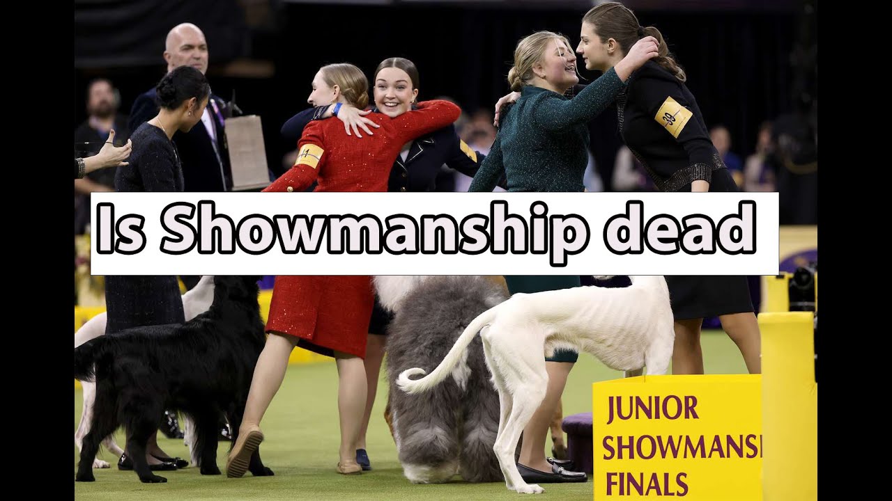 Episode 14: Dog Show Showmanship- Getting rid of the toxic - YouTube
