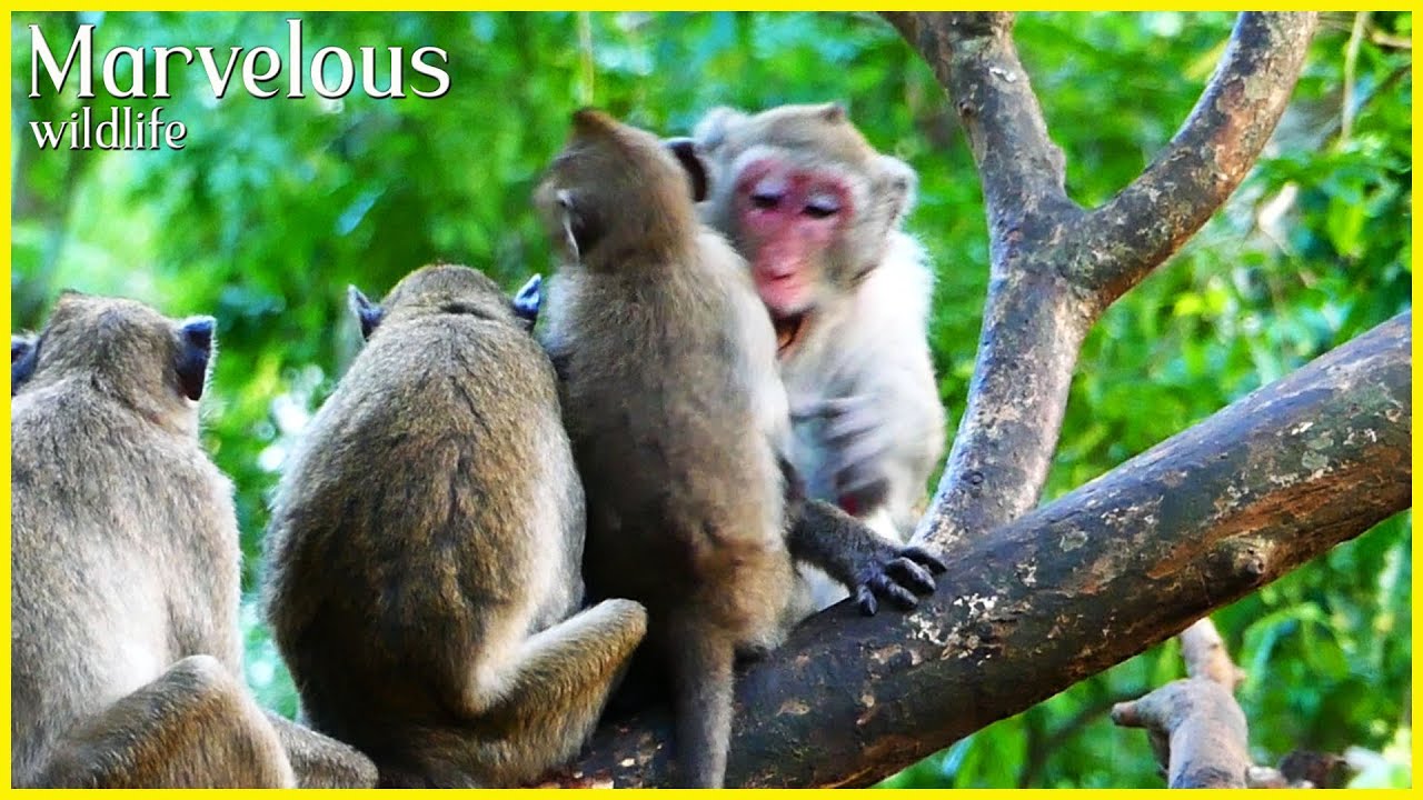 Awesome family.., Mom Jane r/evokess the intimacy Jonna pays attention ...