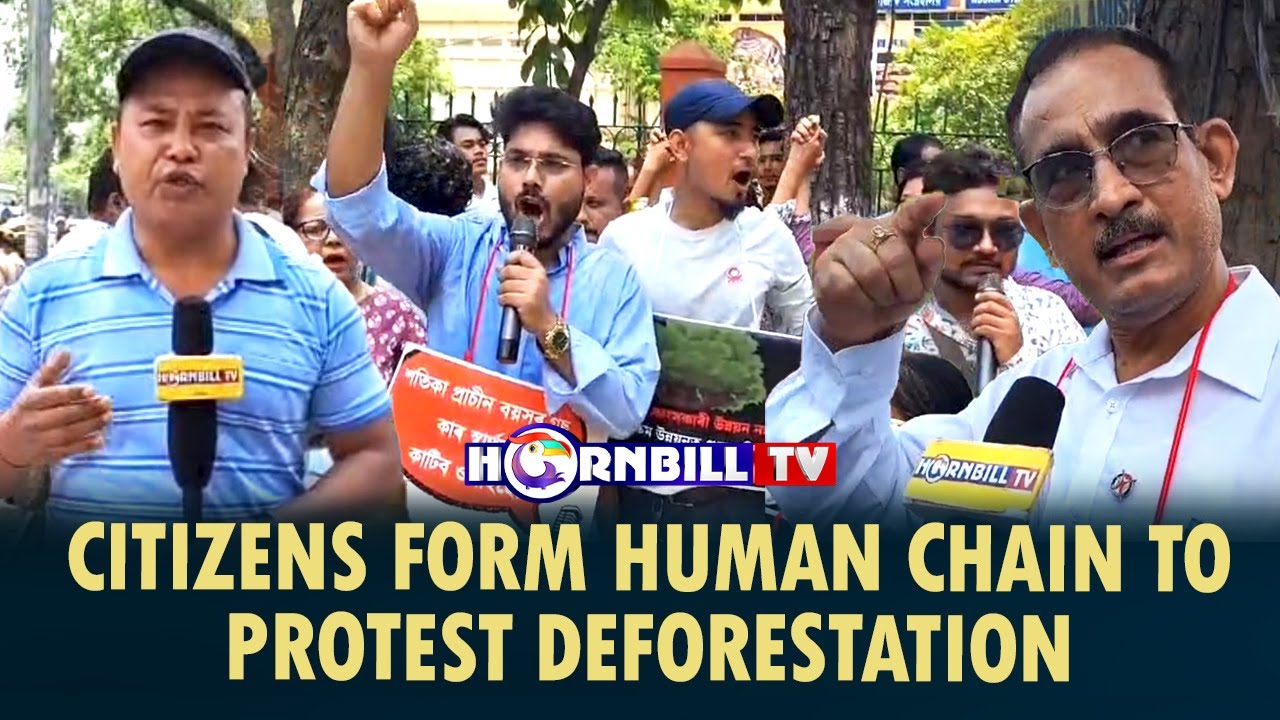 CITIZENS FORM HUMAN CHAIN TO PROTEST DEFORESTATION - YouTube