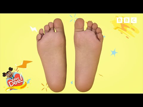 Can You Say Feet? 👣 | Learn Parts of the Body | Baby & Toddler Phonics | Yakka Dee!