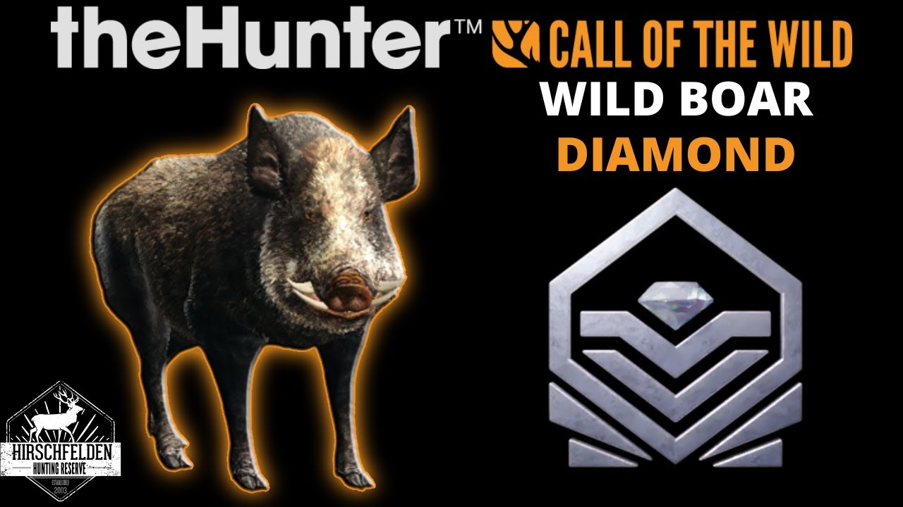 DIAMOND 😲 Wild Boar (Light Brown) in theHunter Call of the Wild ...