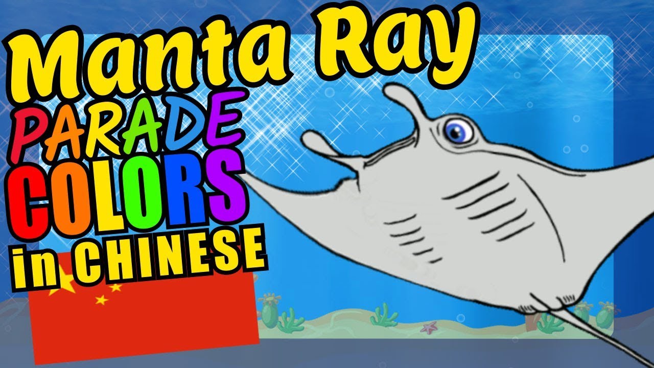 Manta Ray Teaching Chinese Language Colors Educational Language Video ...