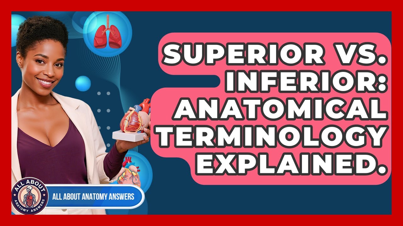 Superior Vs. Inferior: Anatomical Terminology Explained. - All About ...