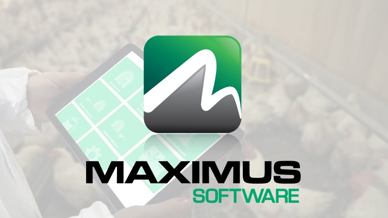 MAXIMUS Software | Poultry - YouTube