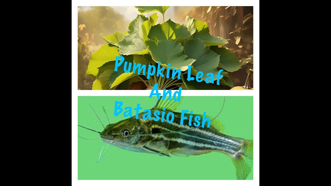 Law Shakh | Batasio Fish | Pumpkin Leaf | Catfish (Tengra) - YouTube