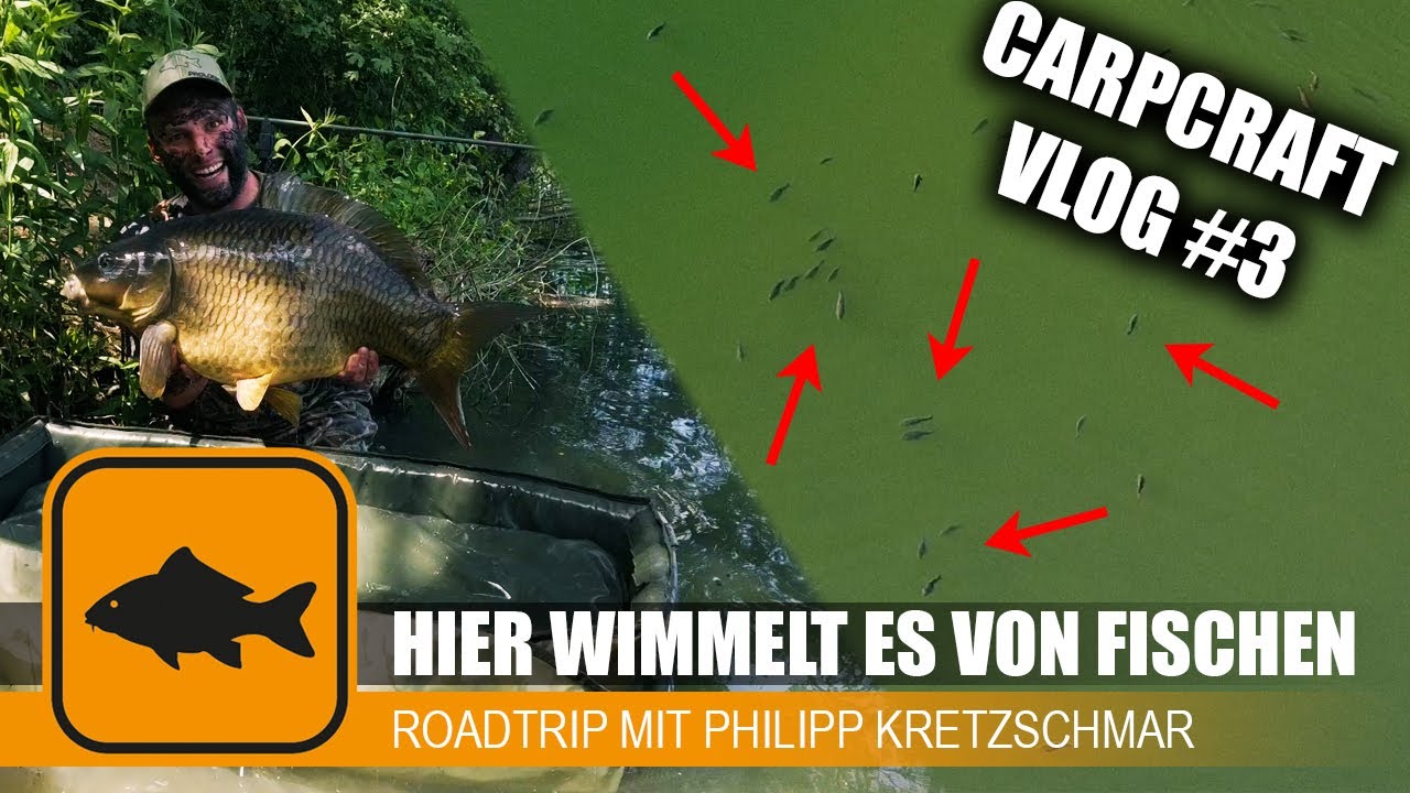 Unfassbare Aufnahmen beim Karpfenangeln 😱 Carpcraft VLOG #3 - YouTube