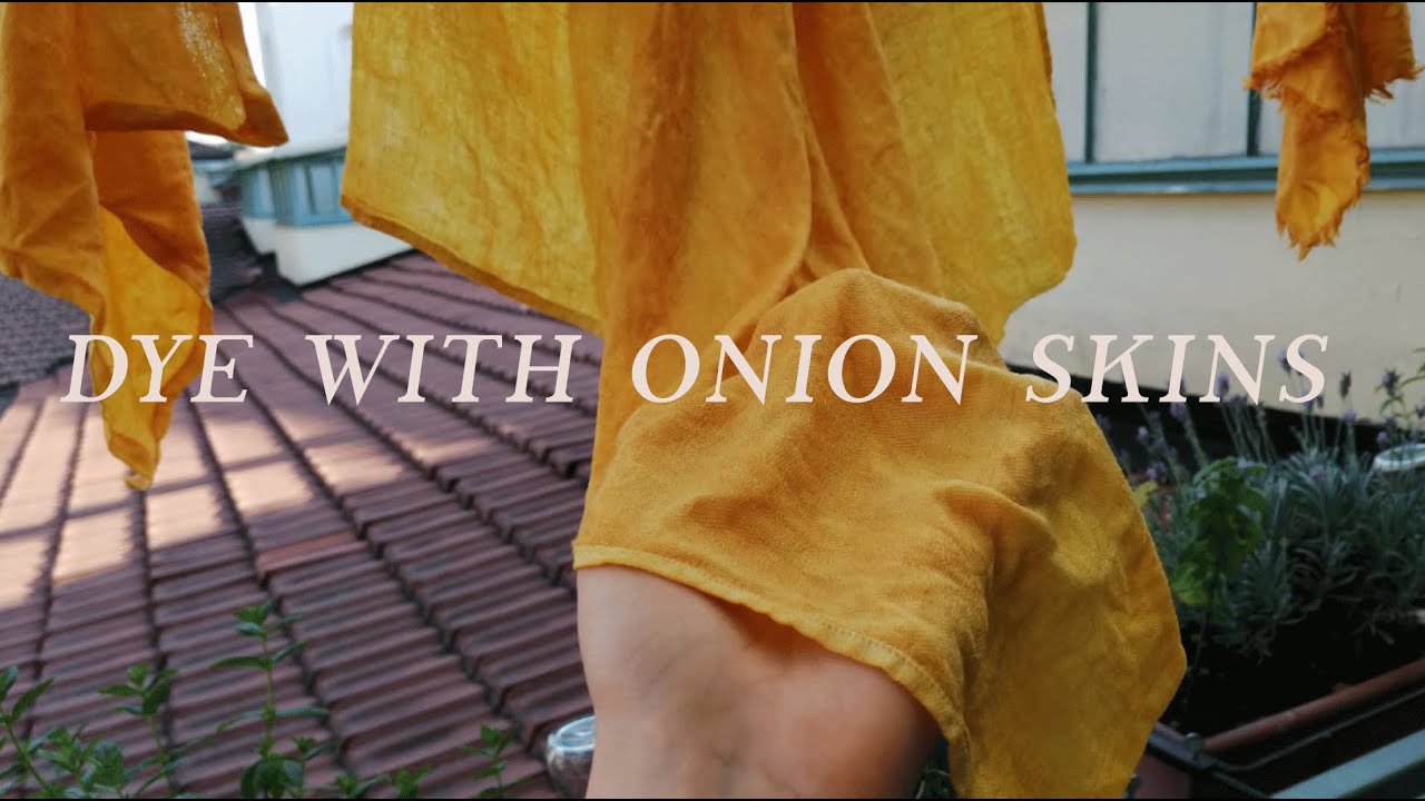 ONION SKINS | How to NATURAL DYE at HOME| Yellow | Botanical colours ...
