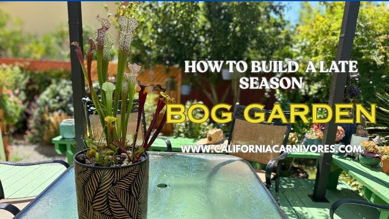 So you want to build a bog garden - YouTube