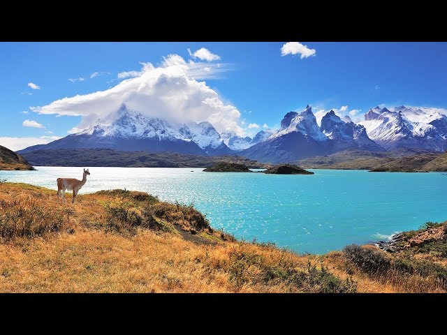 동영상 모음 | QueenJo 퀸조