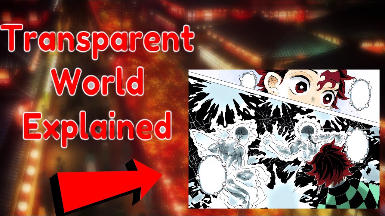 WHAT is the Transparent World? - YouTube