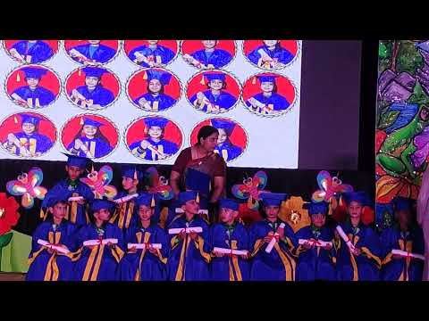 #Kiwi kindergarten graduation - YouTube