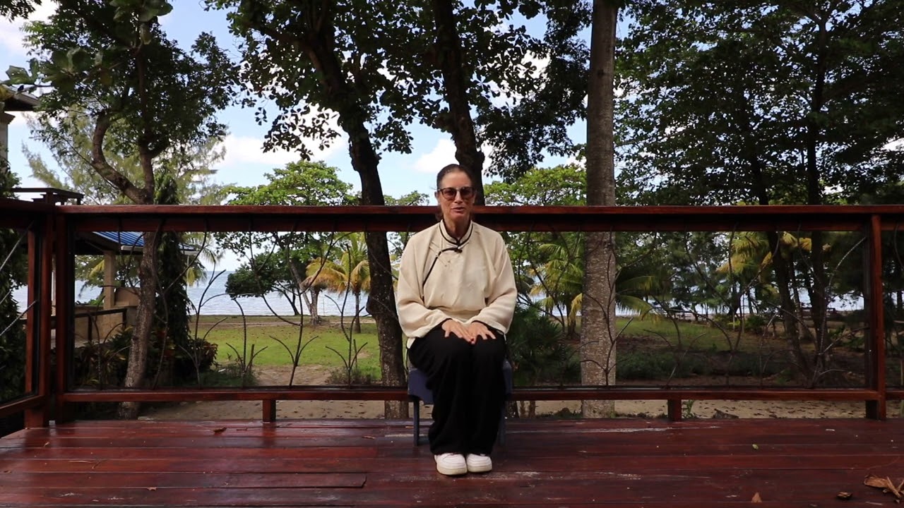 The Practice of Wu Wei and What not to do - YouTube