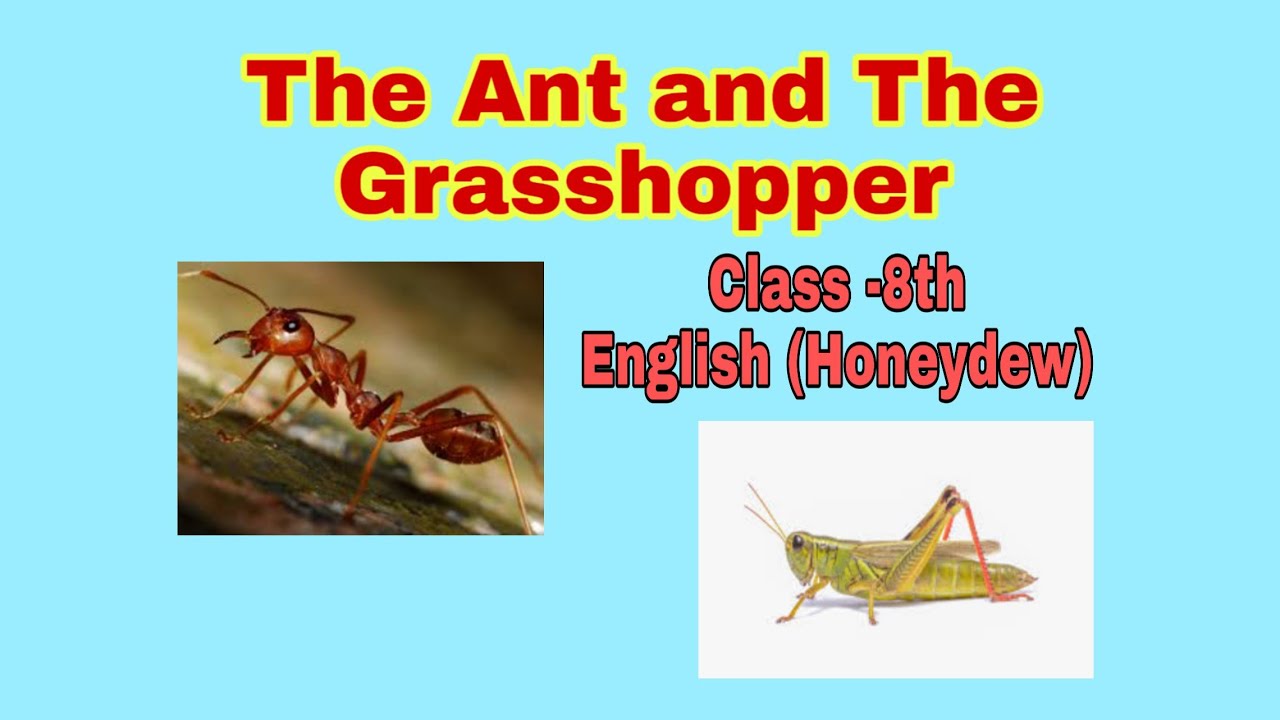 The ant and the Grasshopper (class 8th) - YouTube