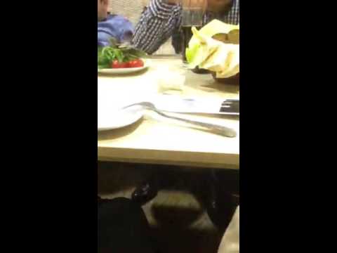 shehla 1990   Yeyim icmek