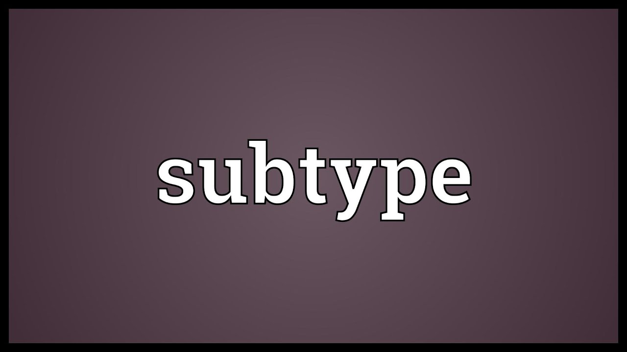 Subtype Meaning - YouTube