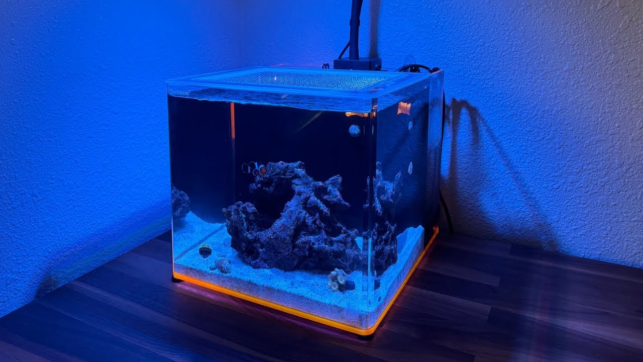 Deskmate Reef Tank Review!!! - YouTube