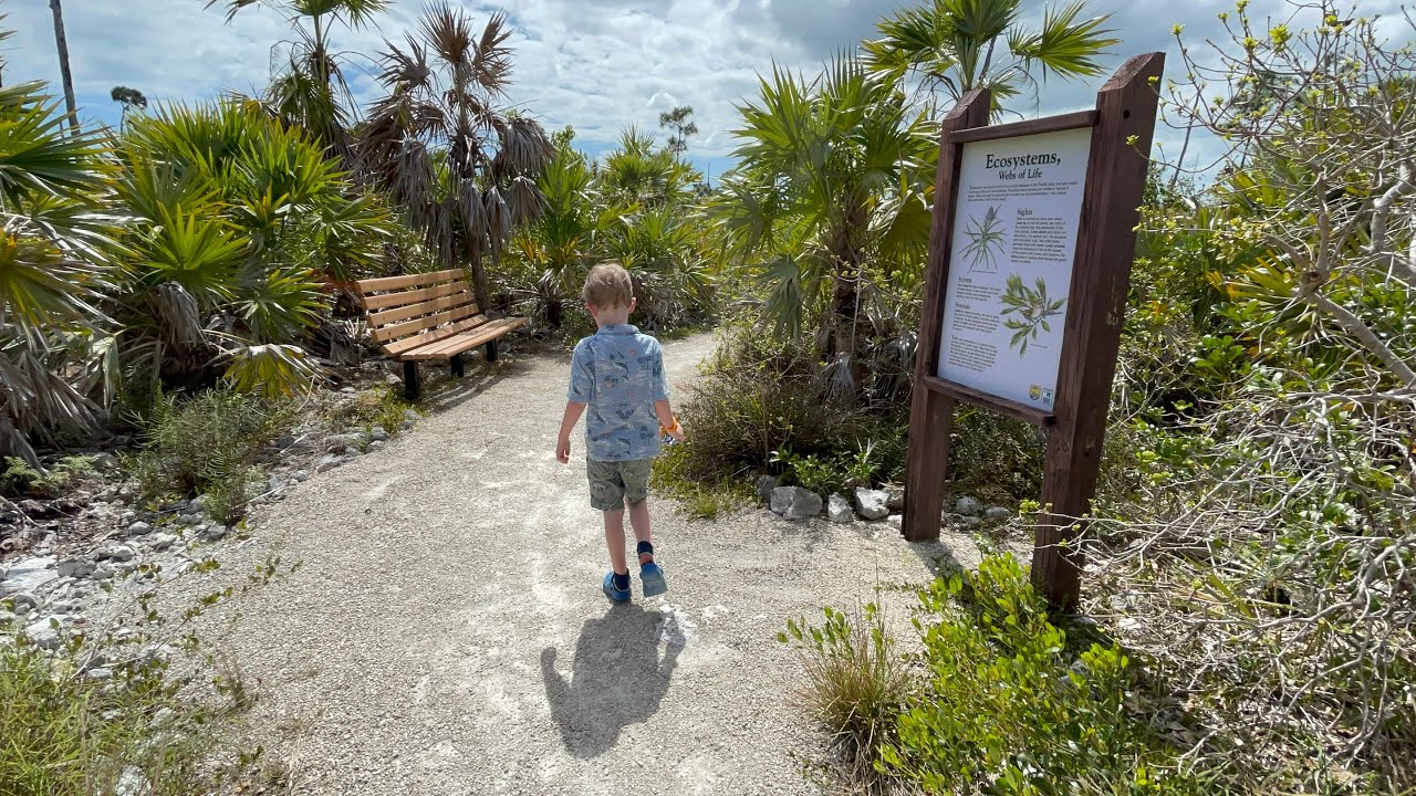 Hiking at National Key Deer Refuge on the Florida Keys - YouTube