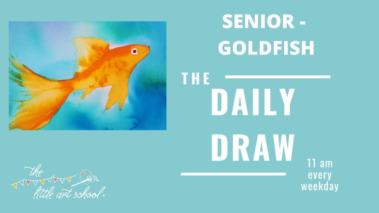 How to draw and paint a Goldfish - Senior #DailyDraw with Little Art ...