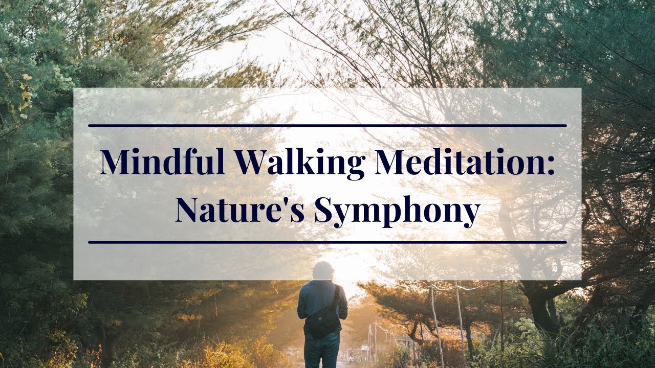 Mindful Walking Meditation: Nature's Symphony - YouTube