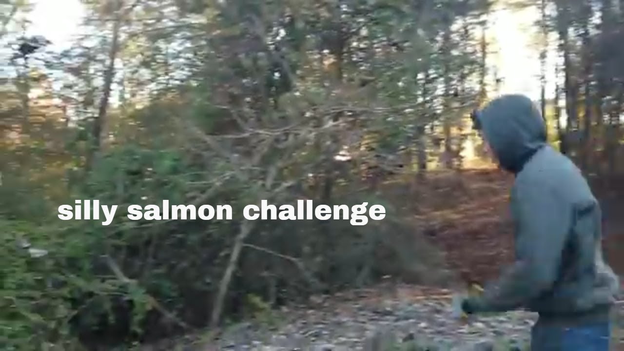 Silly Salmon Challenge - YouTube