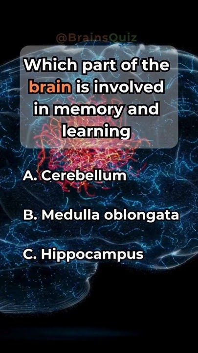 Human body short quiz 🫀🧑‍⚕️ Can you Answer All 4 in 5 seconds? # ...
