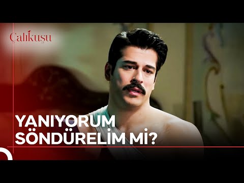Pansuman Bahane, Romantizm Şahane 😉 | Çalıkuşu
