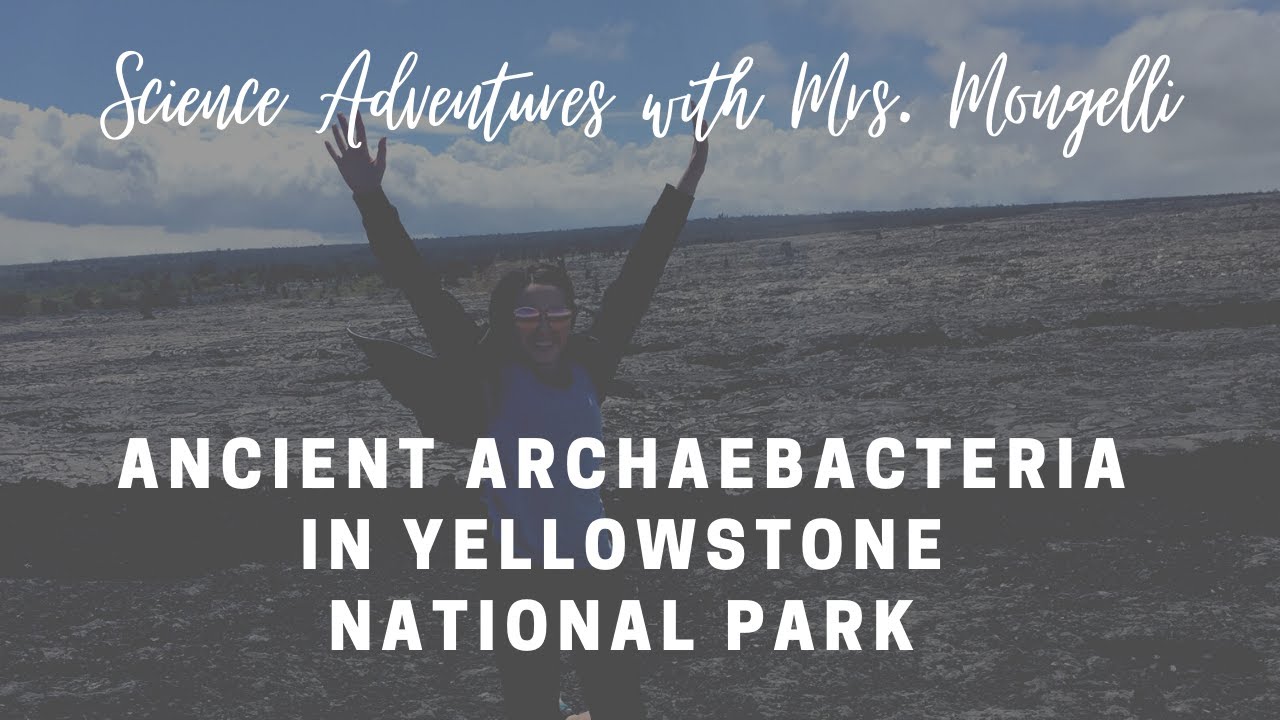 Ancient Archaebacteria in Yellowstone National Park - YouTube