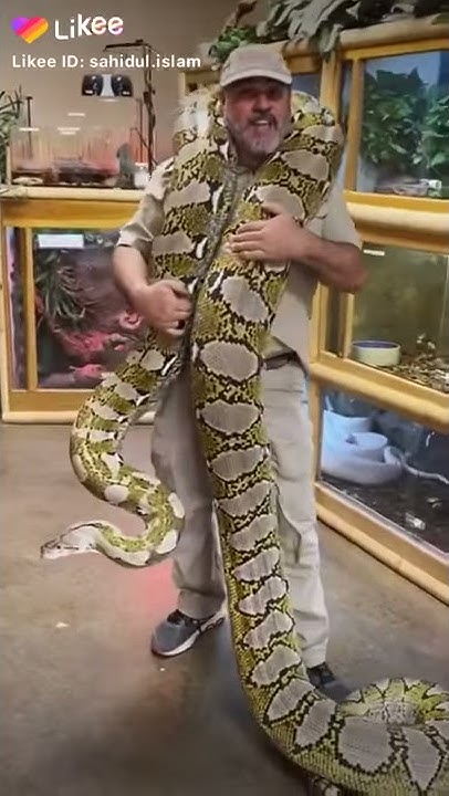 s python snake - YouTube