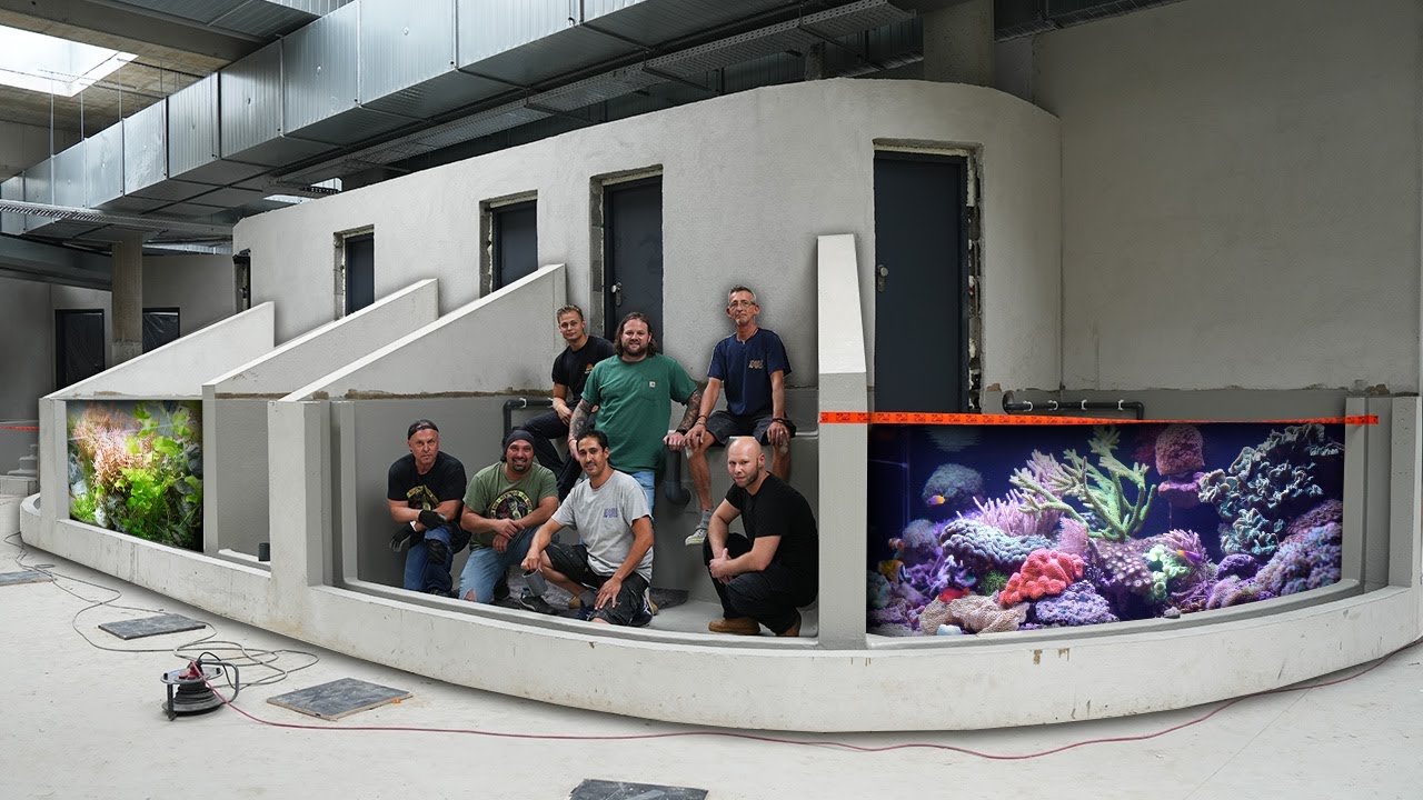 How to build a ZOO AQUARIUM - with New Wave Concepts - YouTube